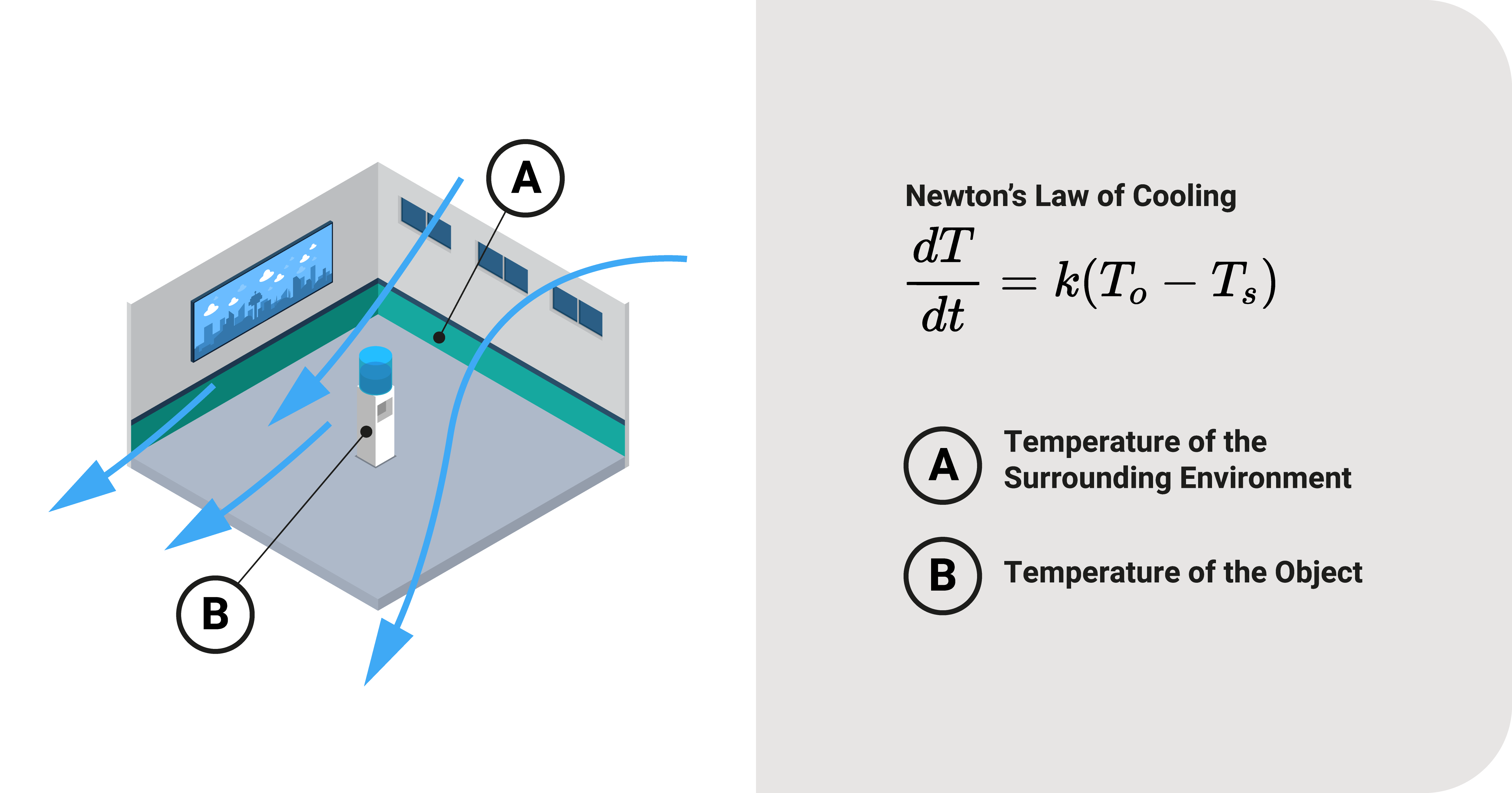 What is Newton’s Law of Cooling? - Calculus | WeTheStudy