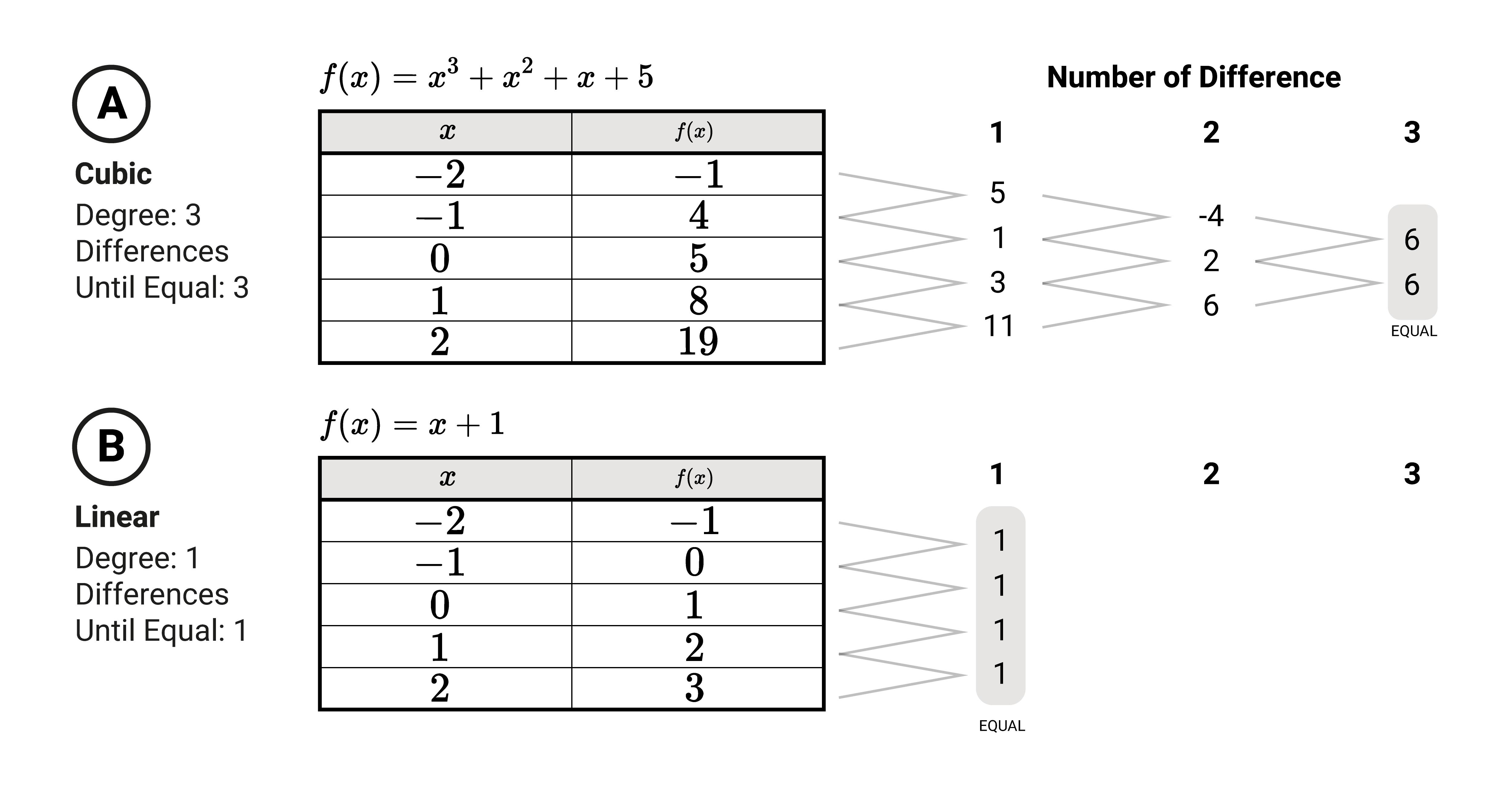 What are Polynomial Functions? - Mathematical Structures | WeTheStudy