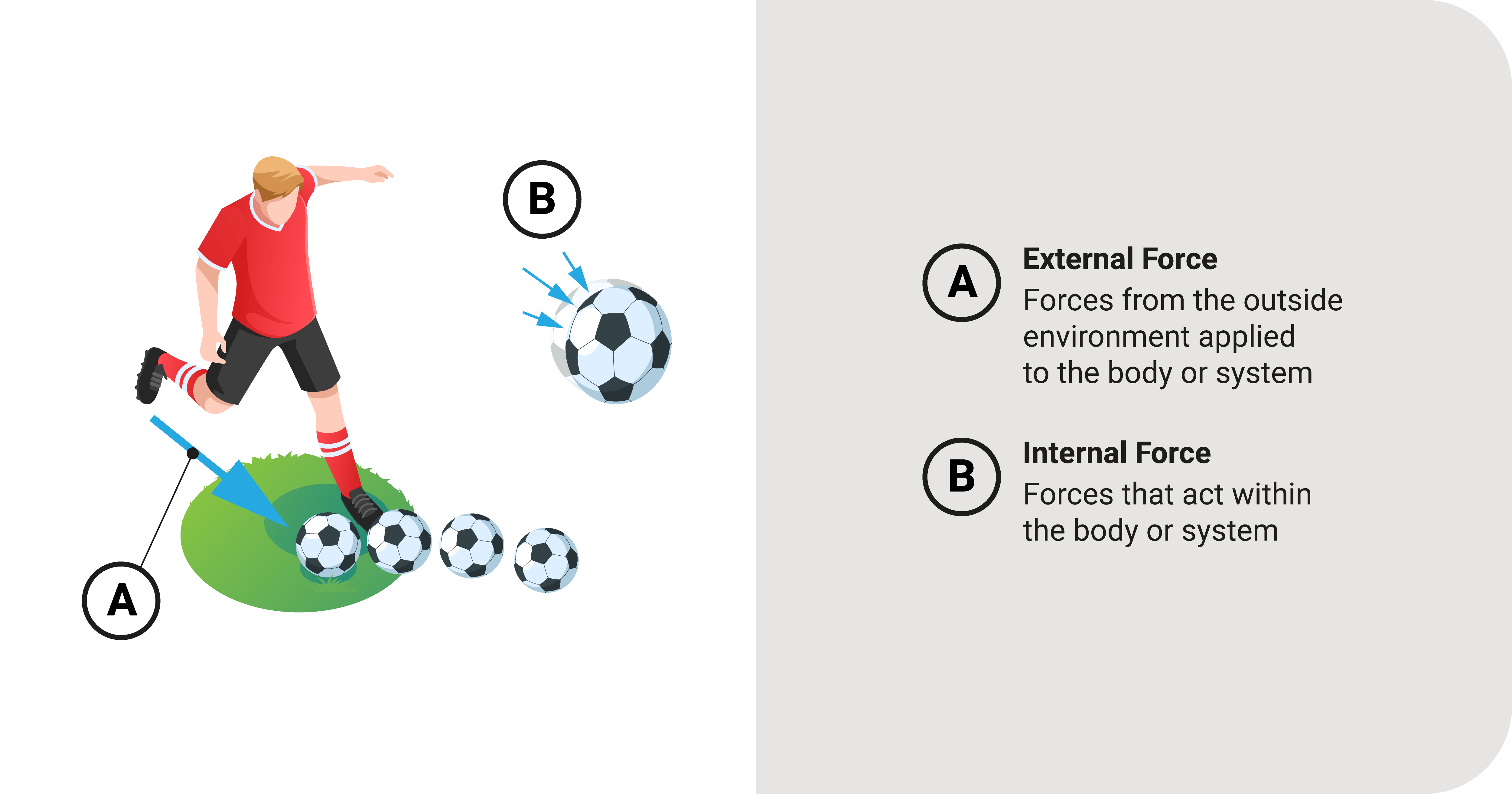 What is External and Internal Force? - Mechanics | WeTheStudy