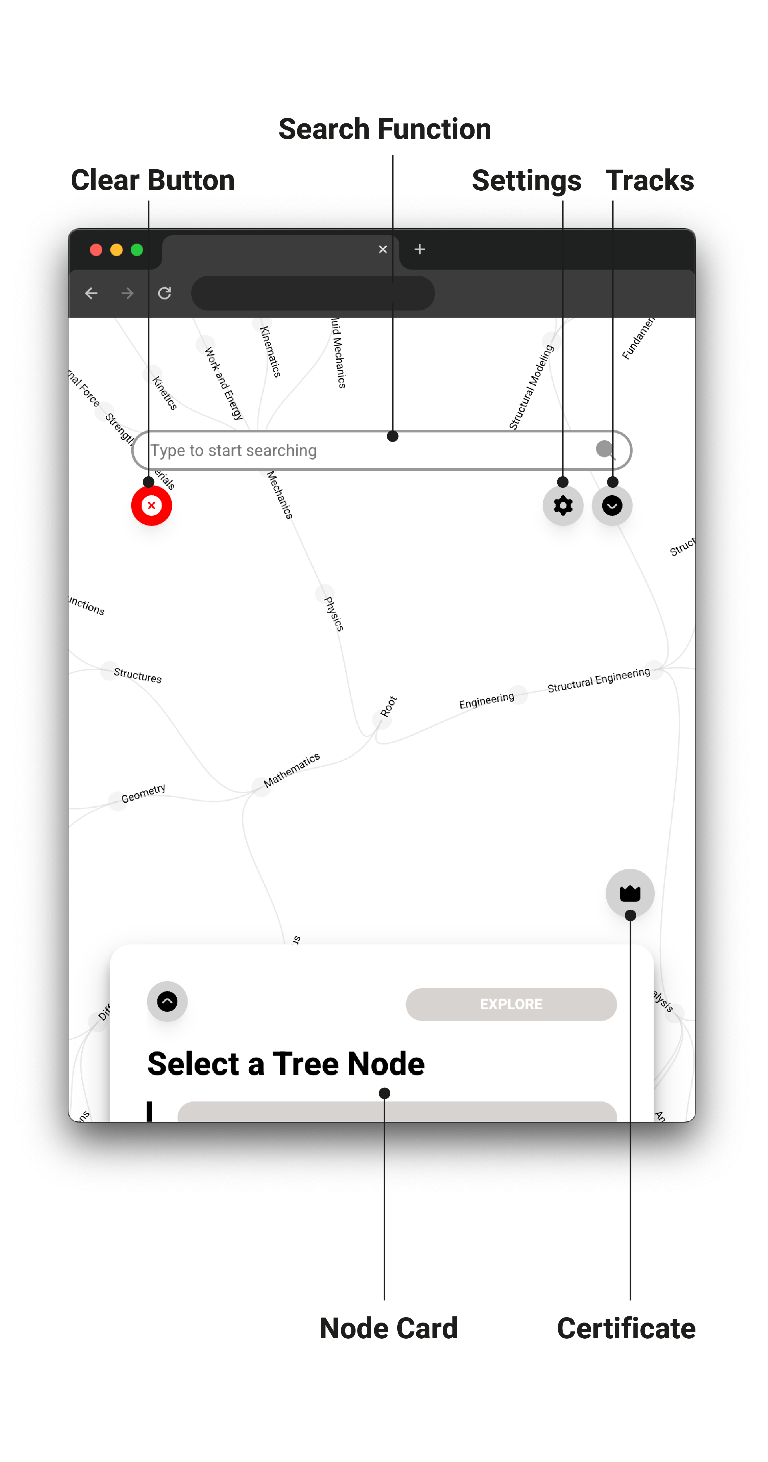 Tree Anatomy and User Interface | WeTheStudy