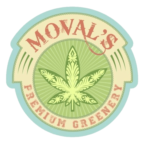 Distru - Streamlined Seed to Sale