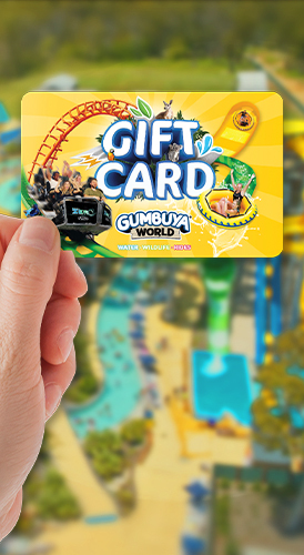 Welcome to Gumbuya World, The Newest Theme Park in Melbourne!