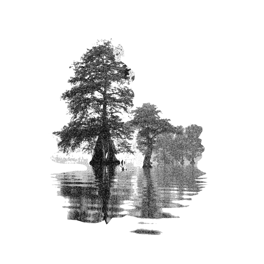 Collaborative Earth—Beaver Lab