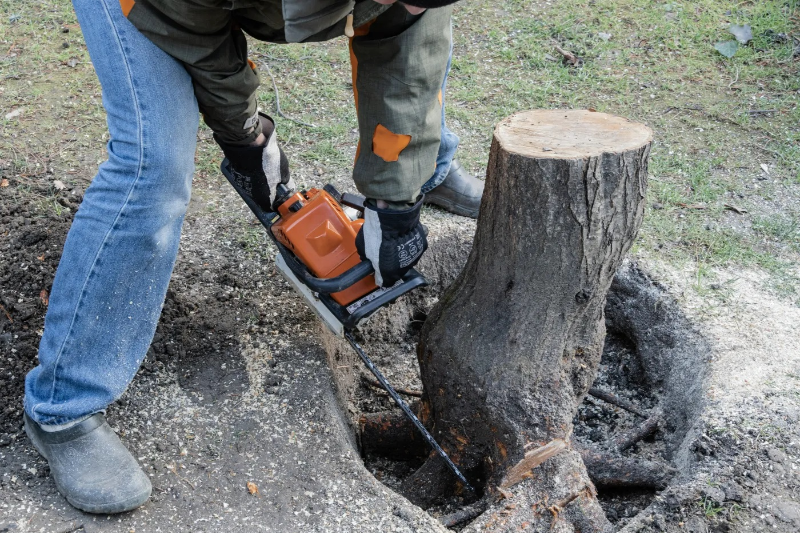 How to clear roots from drain pipes - Evermoreplumbing.com.au