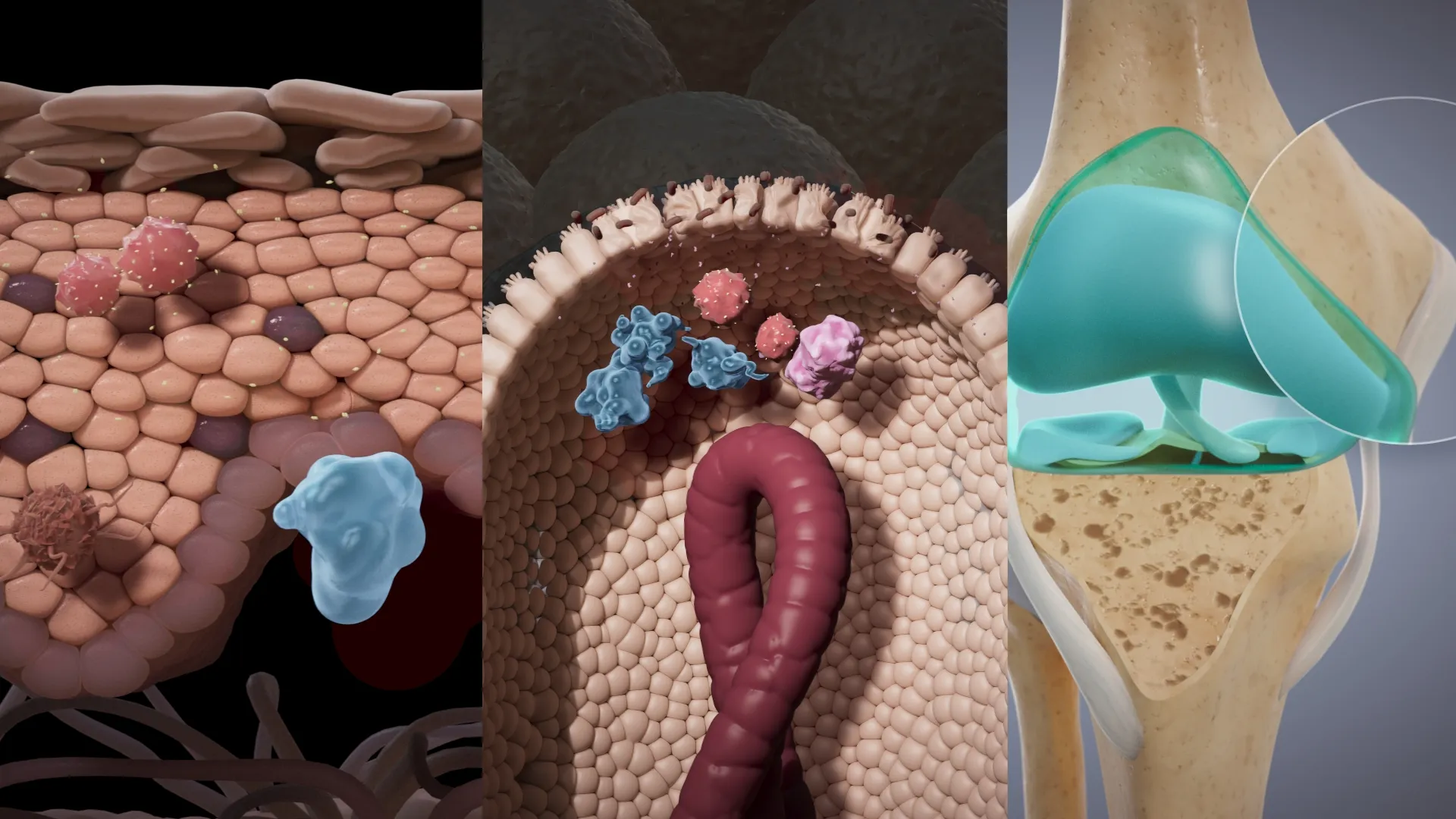 3D MOA animation video communicates science