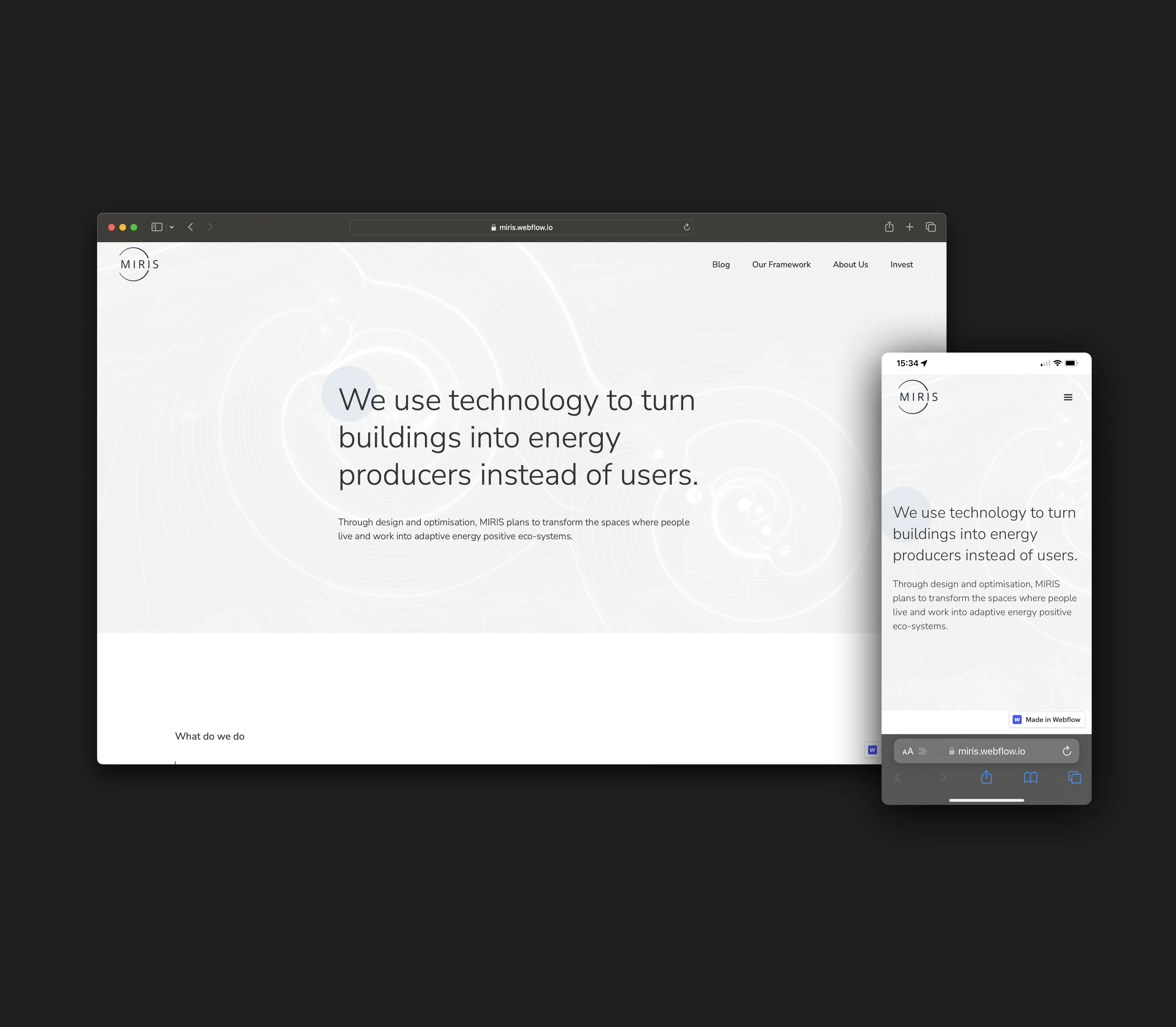 MIRIS - Portfolio Projects