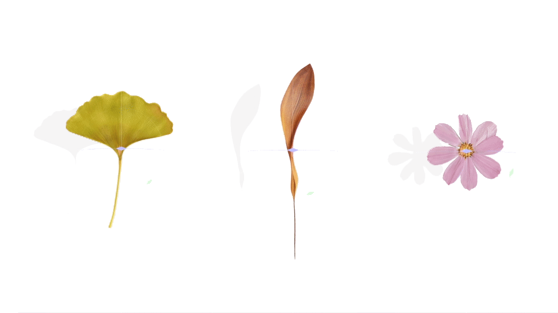 Mattoboard Pro - 3D Mood Boards and A&D Virtual Sampling for Interior ...