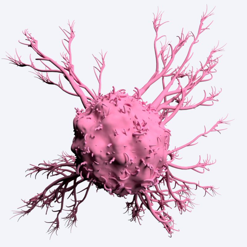 Pipeline - PROSION Therapeutics