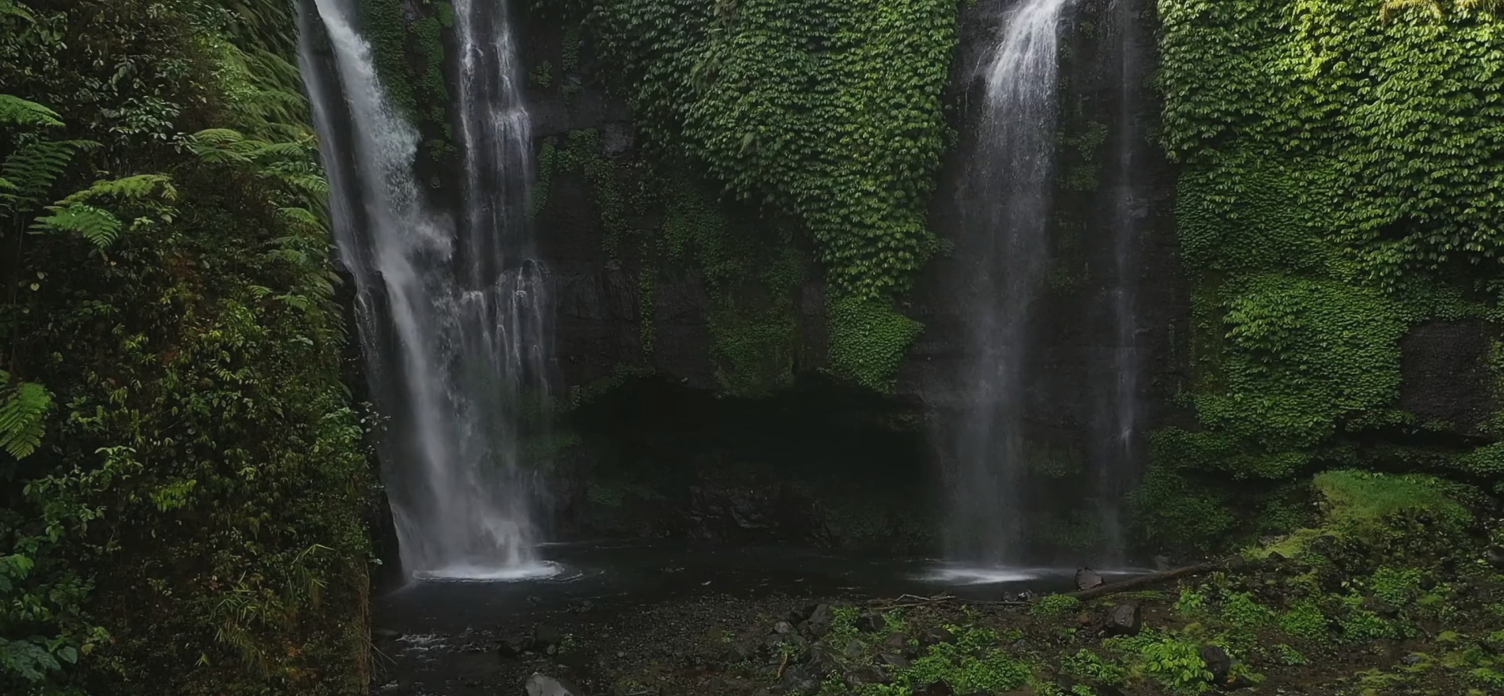 Palmless™ - Science for Nature