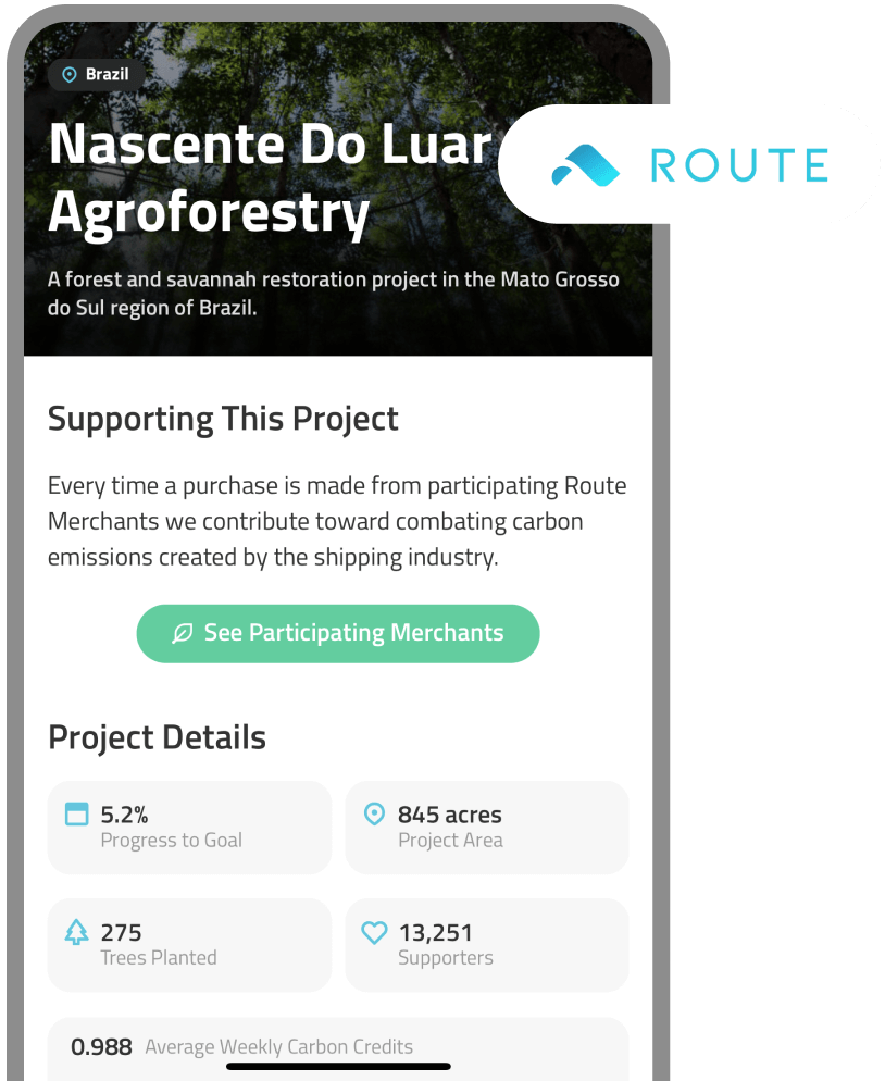 Distribution | Patch