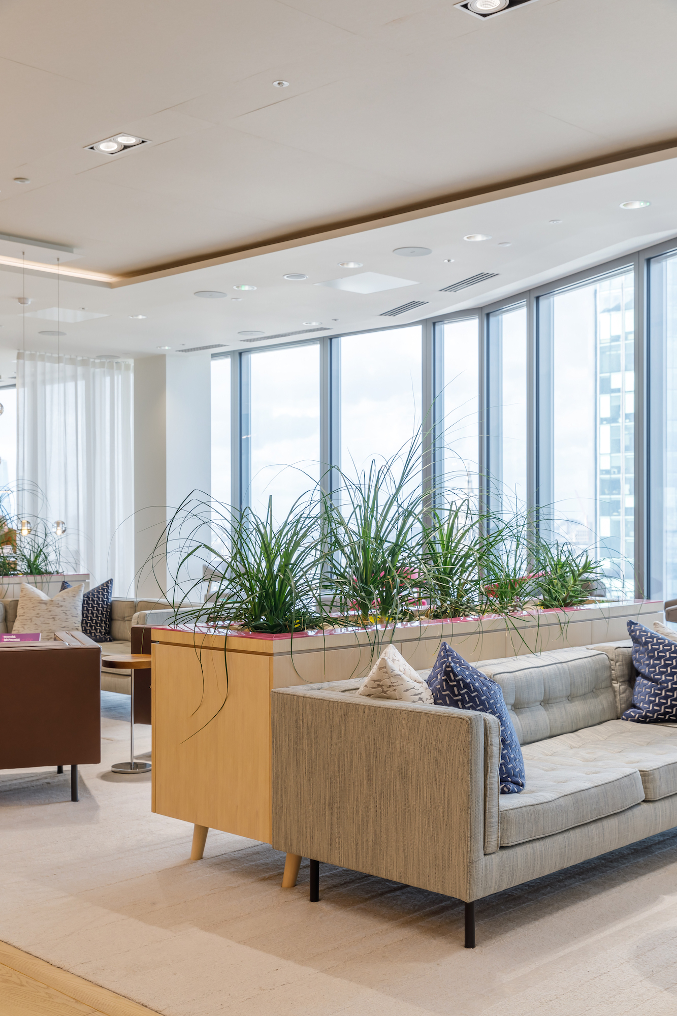 Plant Gallery & Inspiration | Vantage Spaces