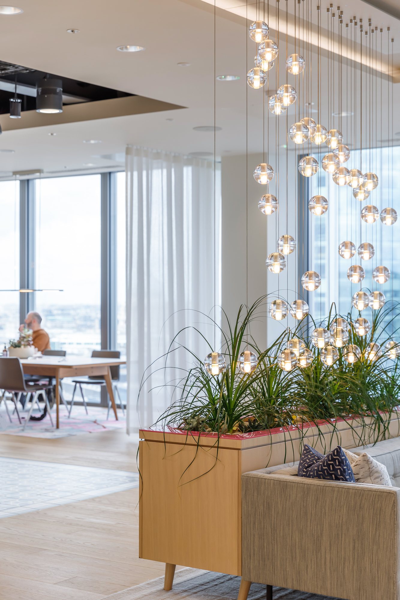 Plant Gallery & Inspiration | Vantage Spaces