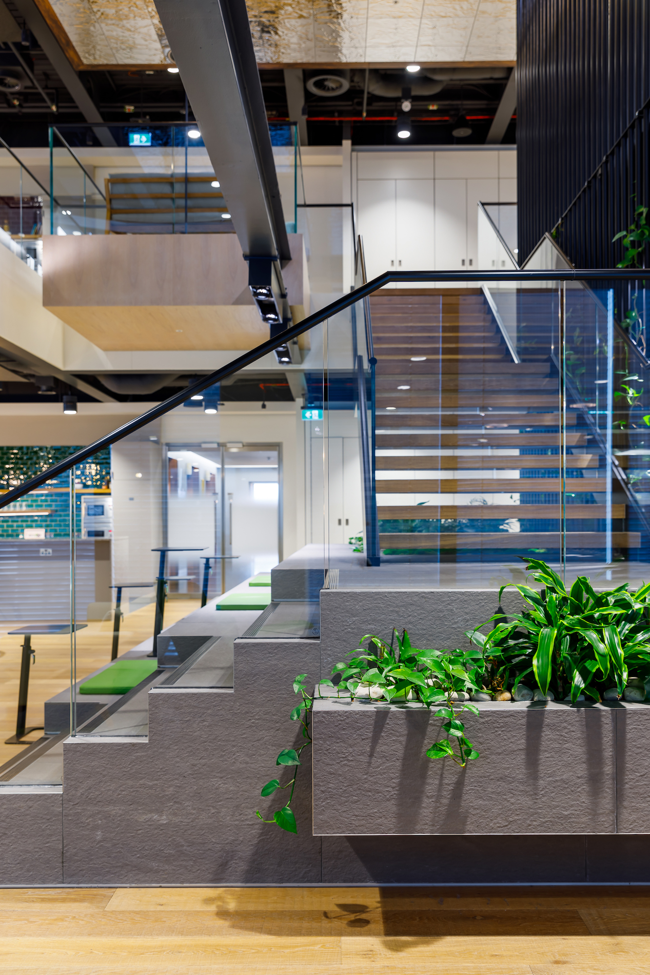 Plant Gallery & Inspiration | Vantage Spaces