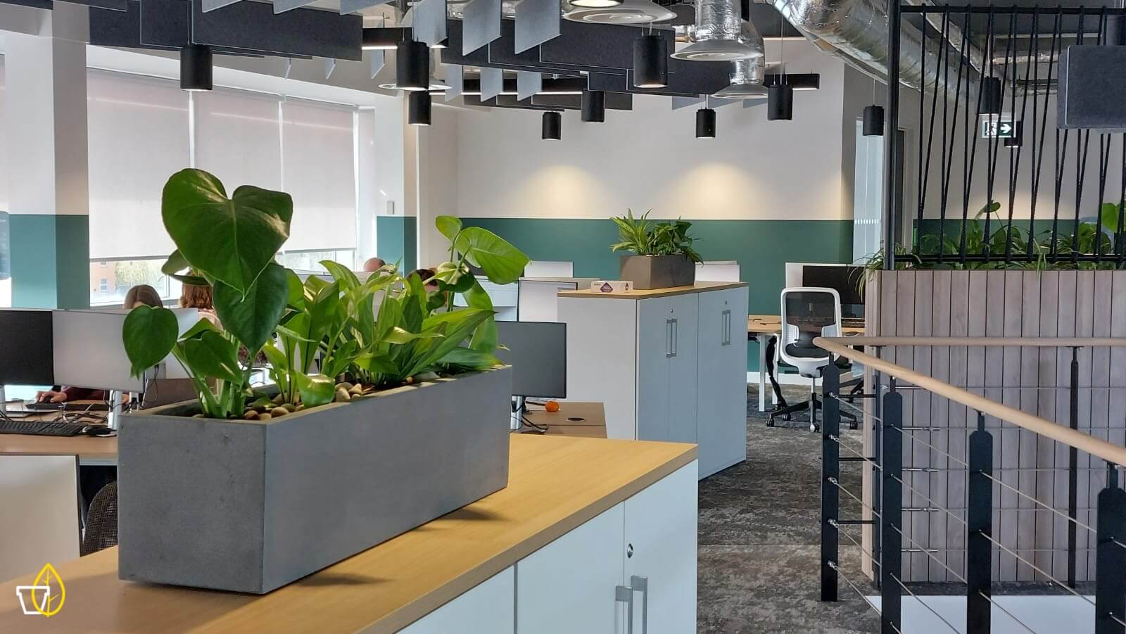 Plant Gallery & Inspiration | Vantage Spaces