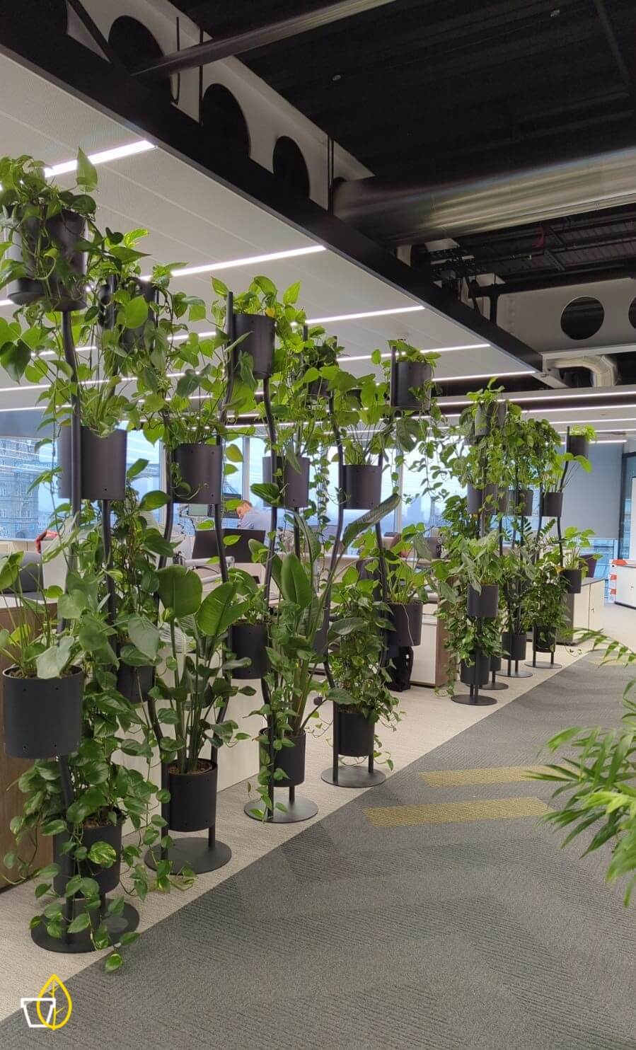 Plant Gallery & Inspiration | Vantage Spaces