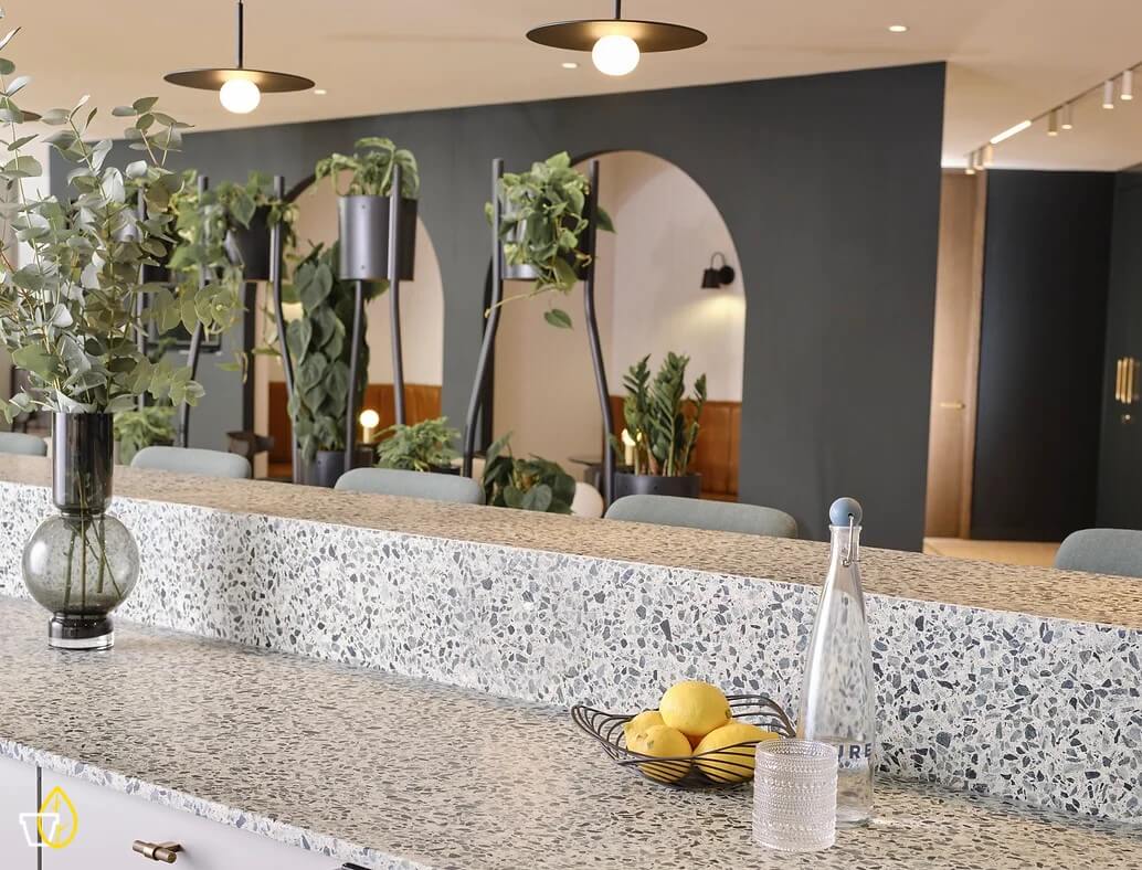 Plant Gallery & Inspiration | Vantage Spaces