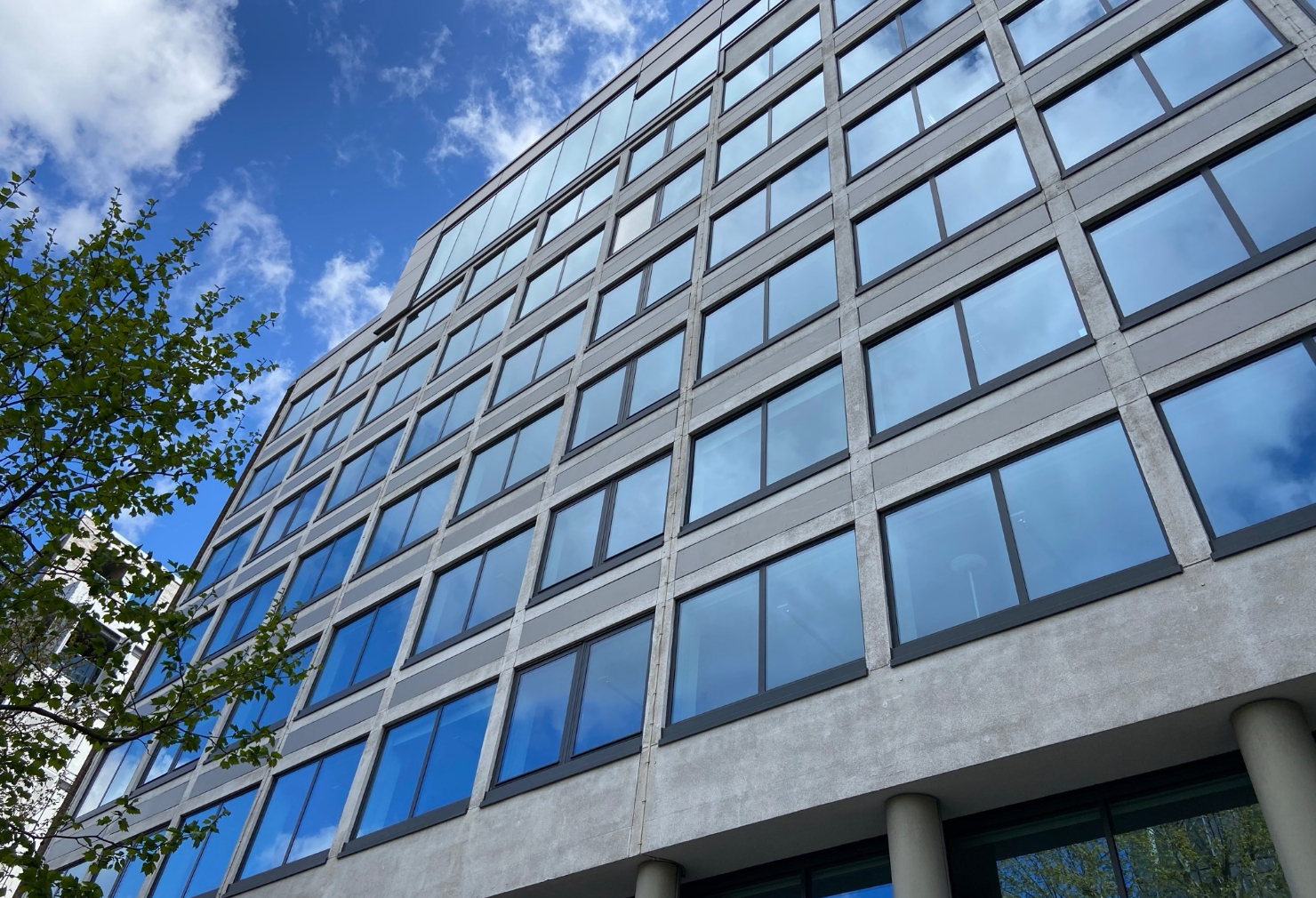 Maya Capital | Portfolio