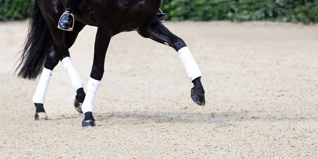 CapillaryFlow | Equestrian Sand Arenas