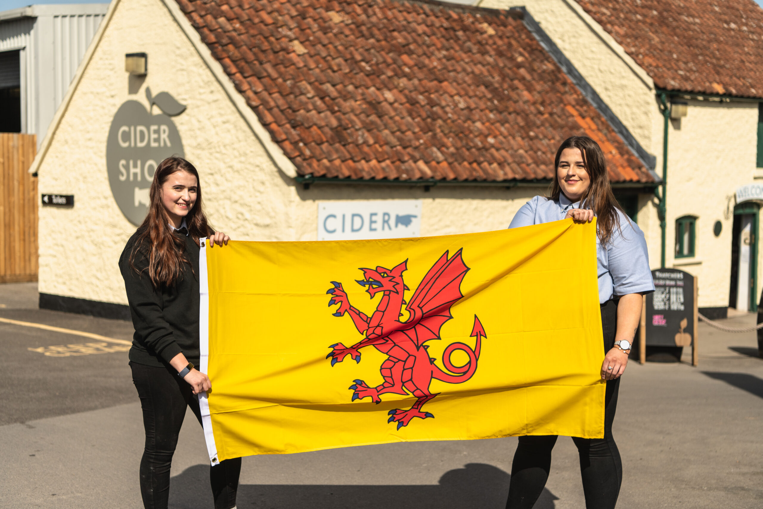 Are you ready to fly the flag for Somerset? | Somerset Day