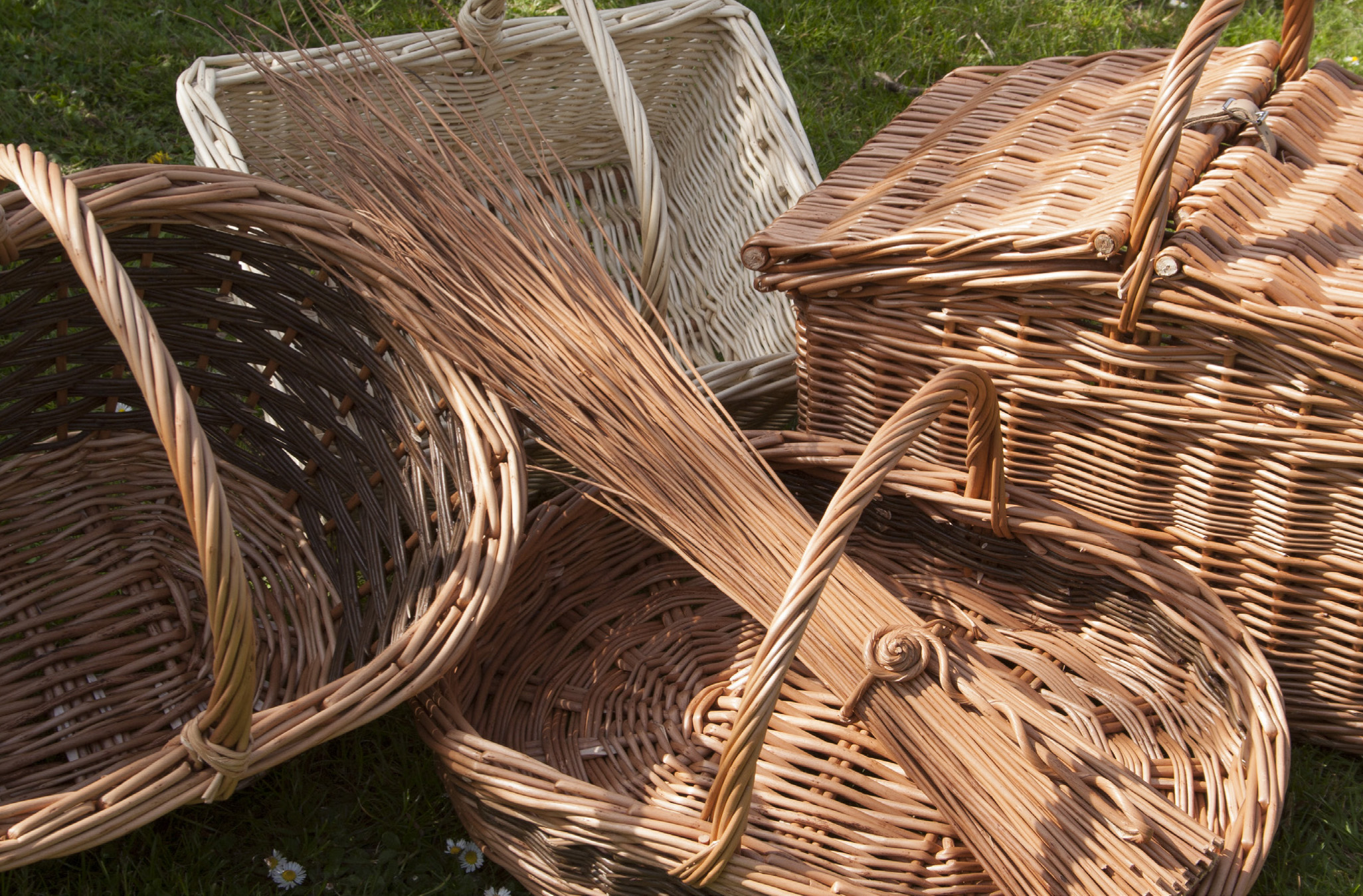 Somerset Day welcomes Coates English Willow as an Official Partner ...