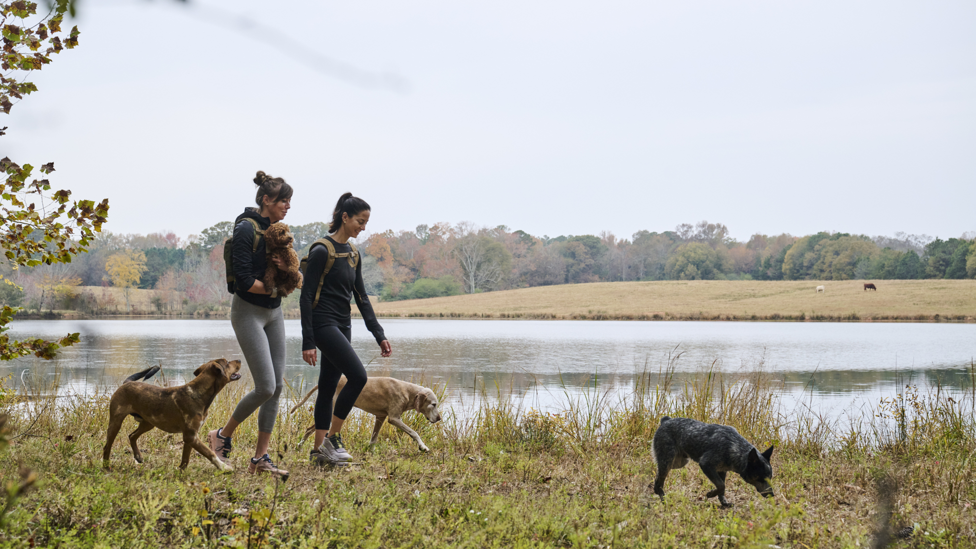 Journal | Holistic Wellness | Atlanta | Intuitas | Chiara Visconti di Modrone