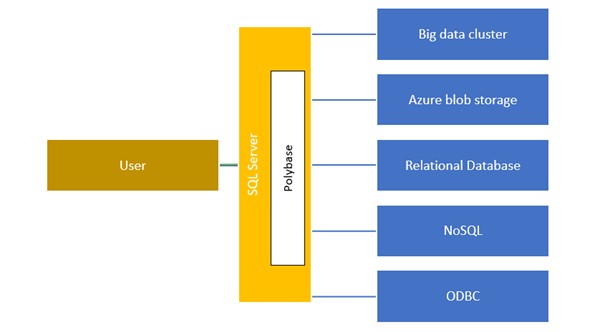 Query Excel File Data Using Sql Server Polybase Growfy Webflow Ecommerce Website Template