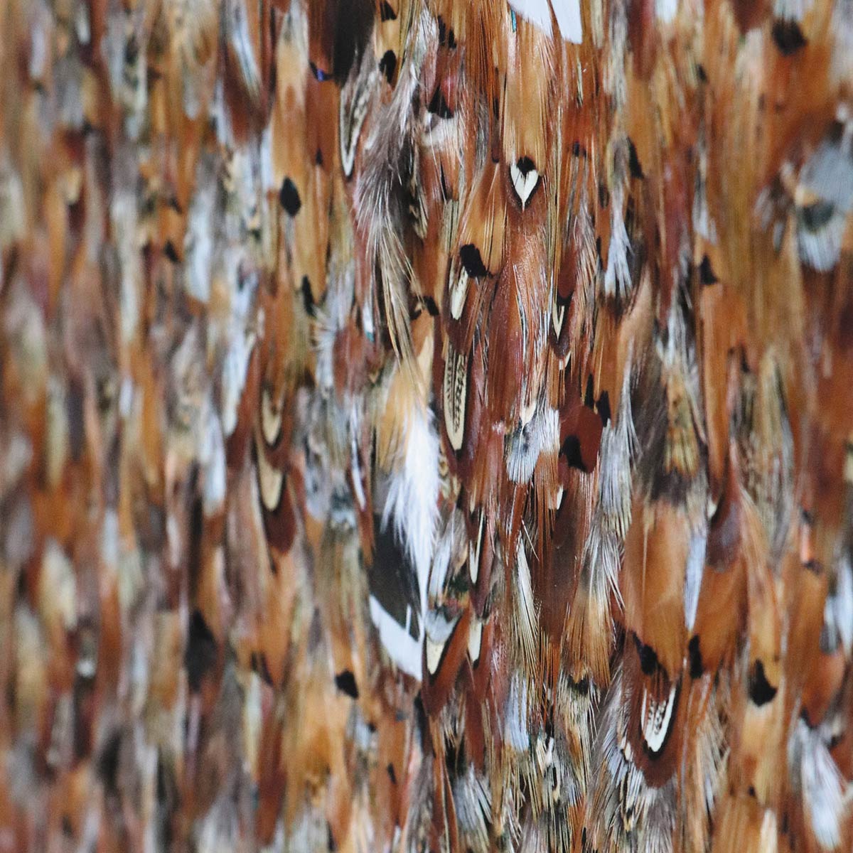 He Waka Eke Noa - Co-creating primary care that works for whānau Māori