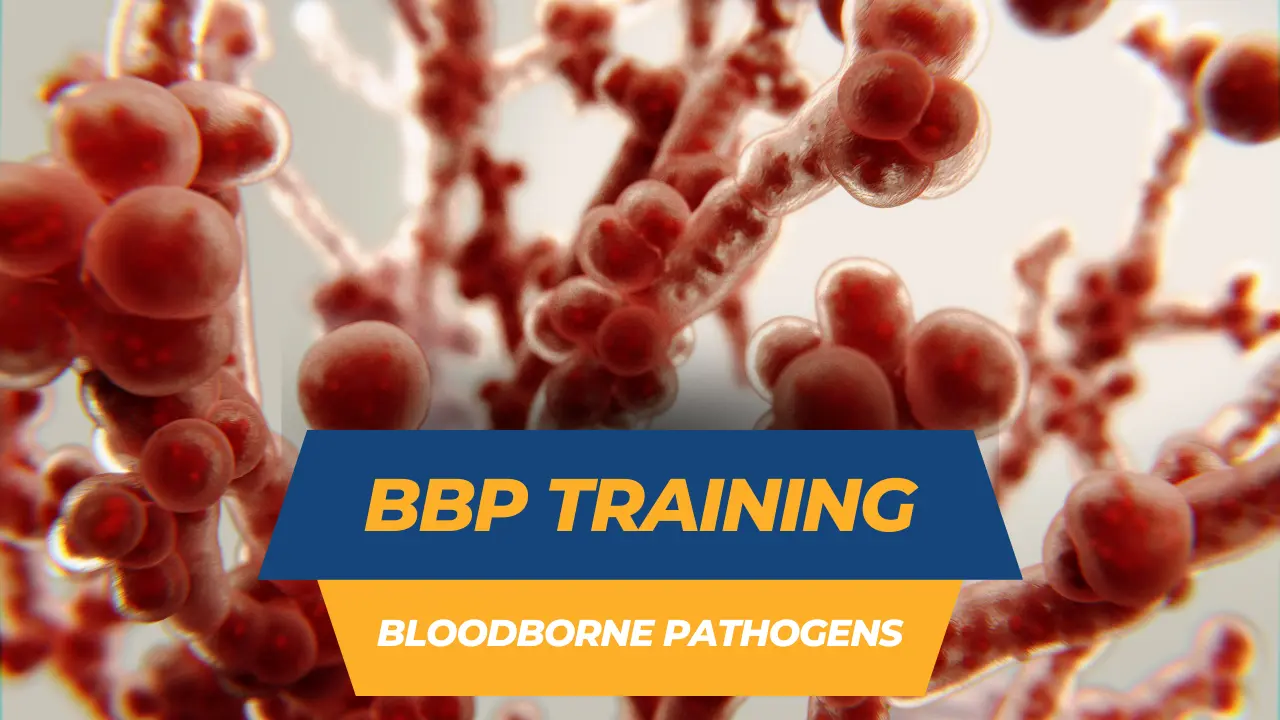 Bloodborne Pathogen Training: Get certified in Bloodborne Pathogens