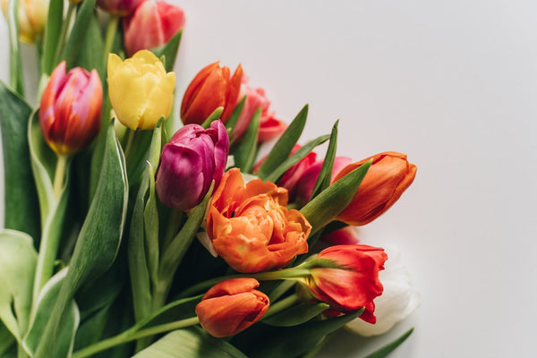 Love in Bloom: The Symbolism of Flowers for Valentine's Day | Ivy House