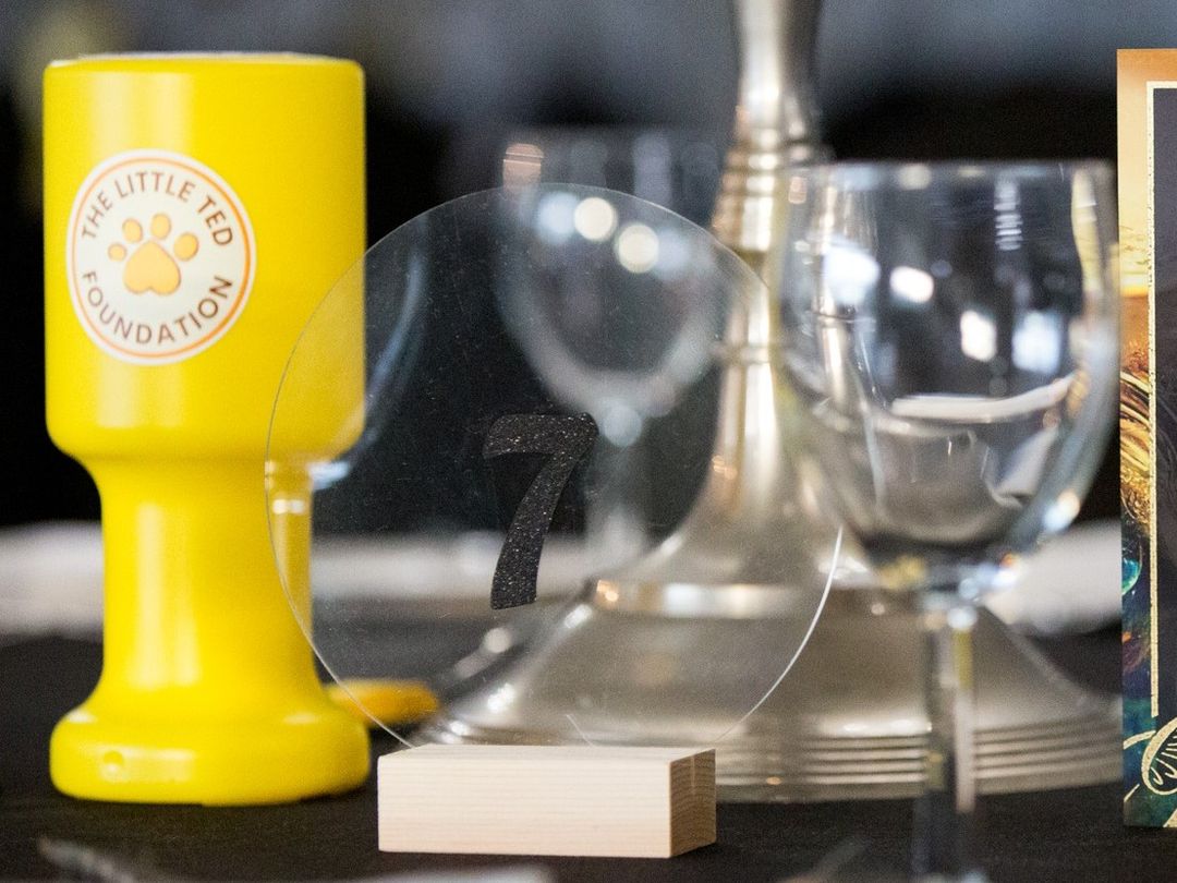 Home - The Little Ted Foundation