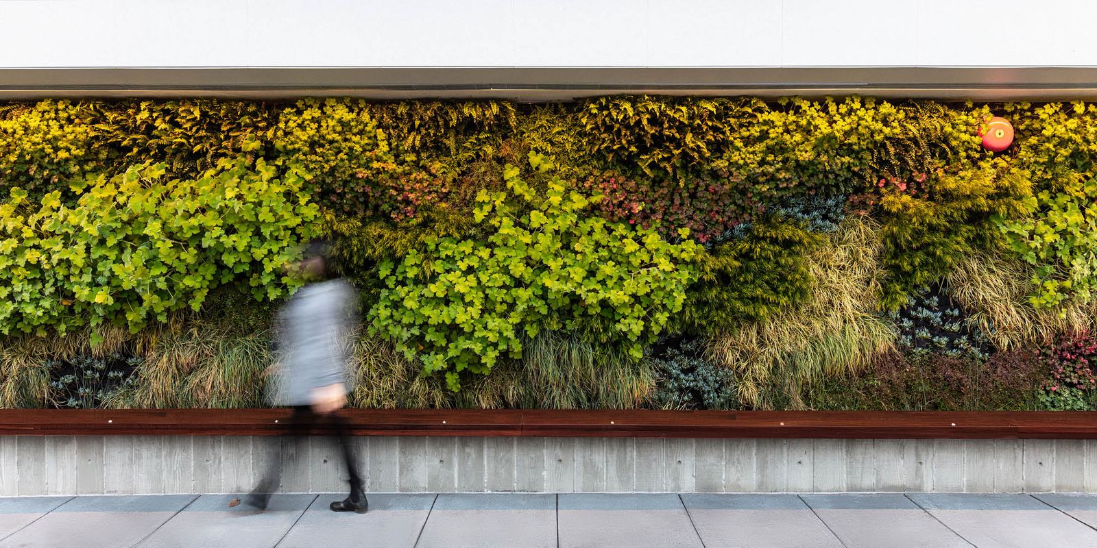 Habitat Horticulture