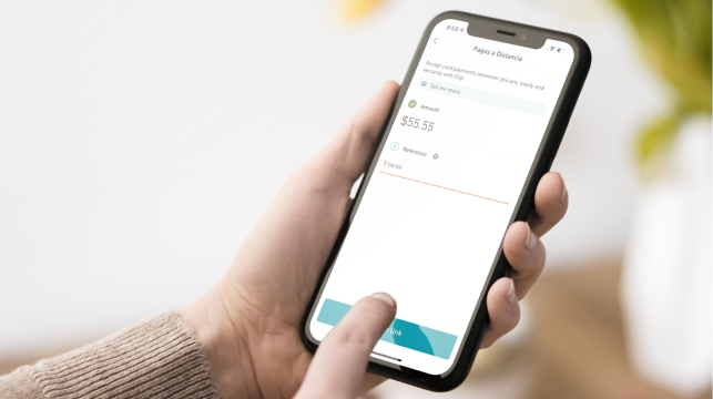 Products and Services | Payclip