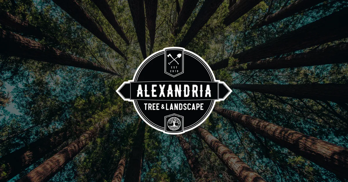 Alexandria Tree & Landscape - ISA Certified Arborist