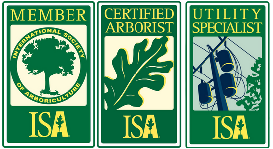 Alexandria Tree & Landscape - ISA Certified Arborist