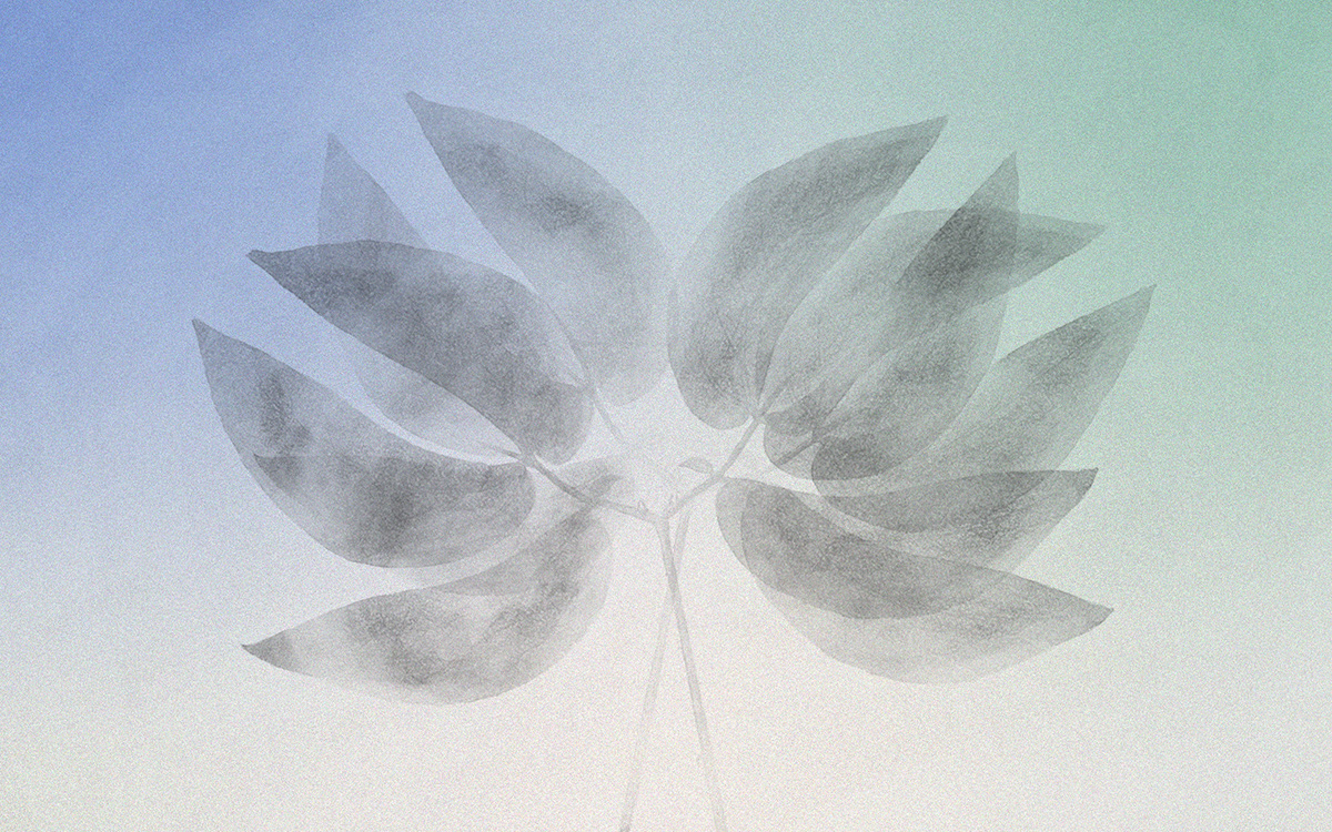 notes-on-engineering-health-september-2023-notes-on-frailty