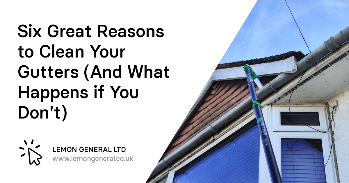 What happens if you don’t clean your gutters?