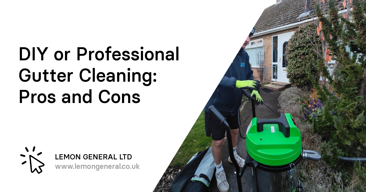 DIY or Professional Gutter Cleaning: Pros and Cons