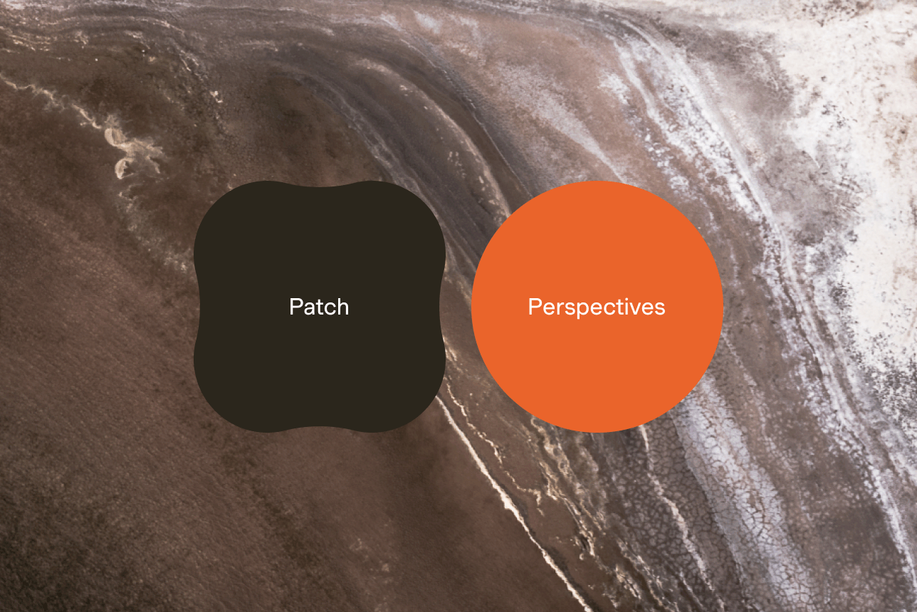 4 ways Patch is democratizing access to climate action | Patch