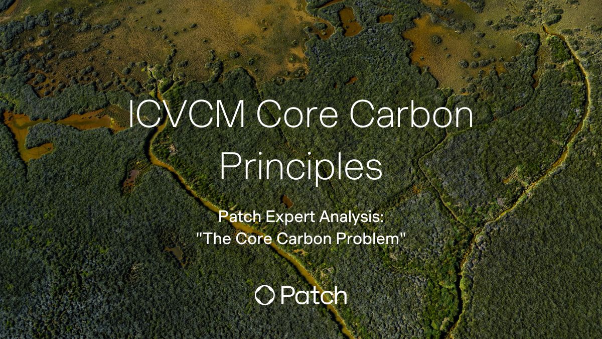 The core carbon problem with the new ICVCM framework | Patch