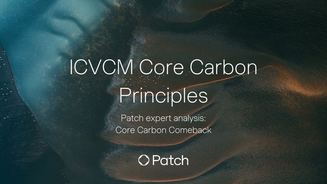 Core Carbon Comeback: ICVCM’s blueprint for scaled accountability | Patch