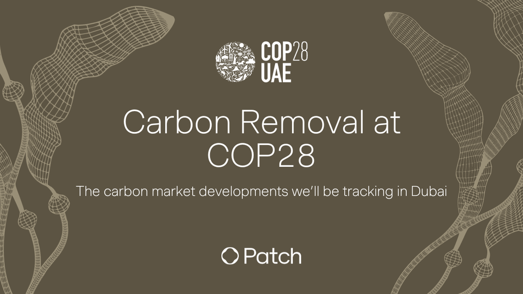 Patch | The platform scaling unified climate action