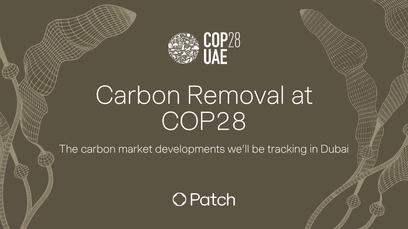 Patch | The platform scaling unified climate action