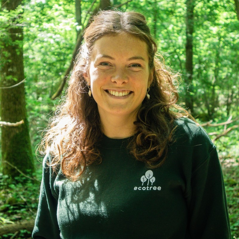 Climate action conversations: Navigating the evolving voluntary carbon ...