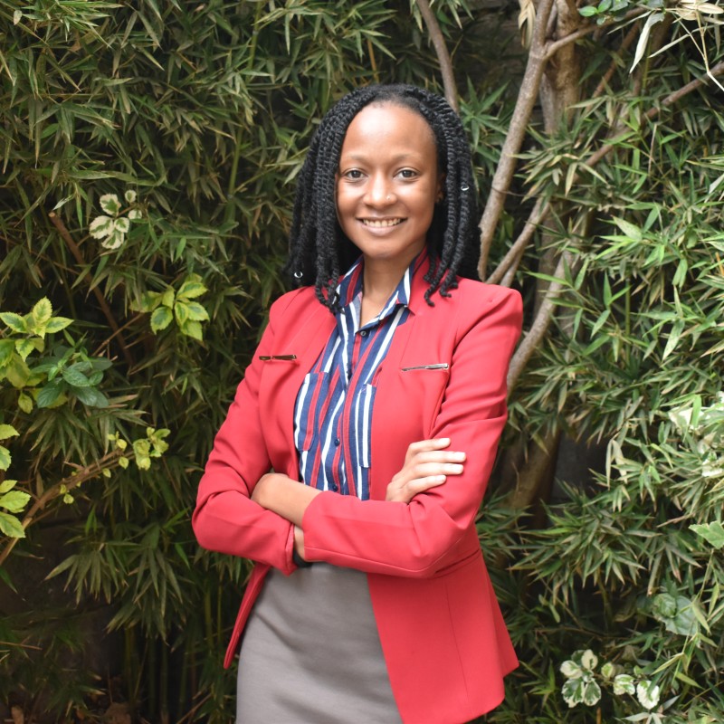 The state of standards in the voluntary carbon market | Patch