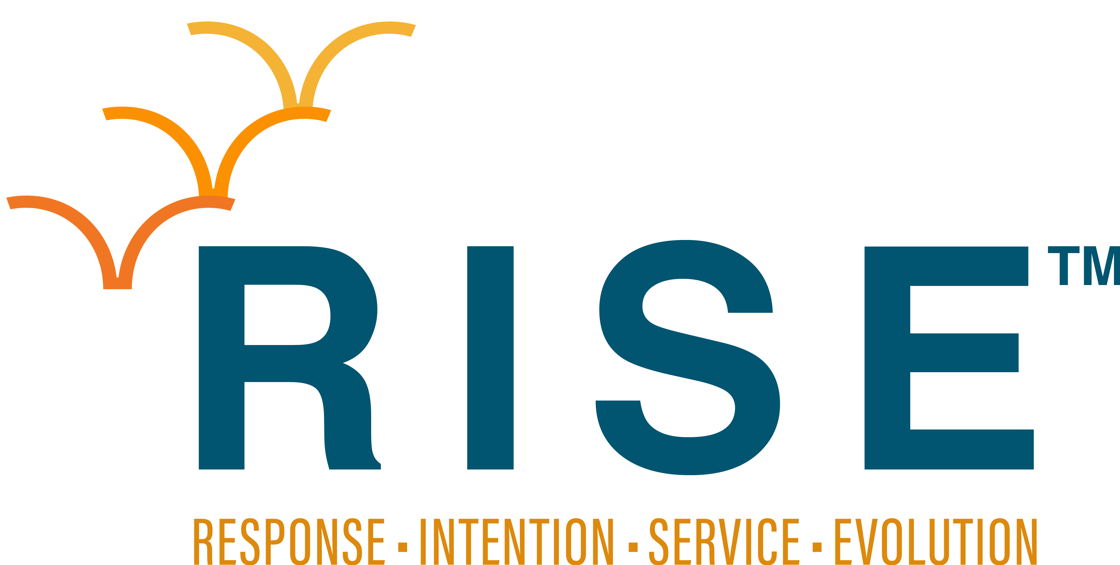 RISE Executive Leadership Development | Senior Leadership Training Course