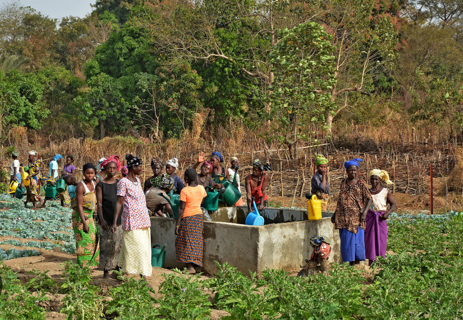 SMALLHOLDER FARMERS URGED TO GET WATER PERMITS