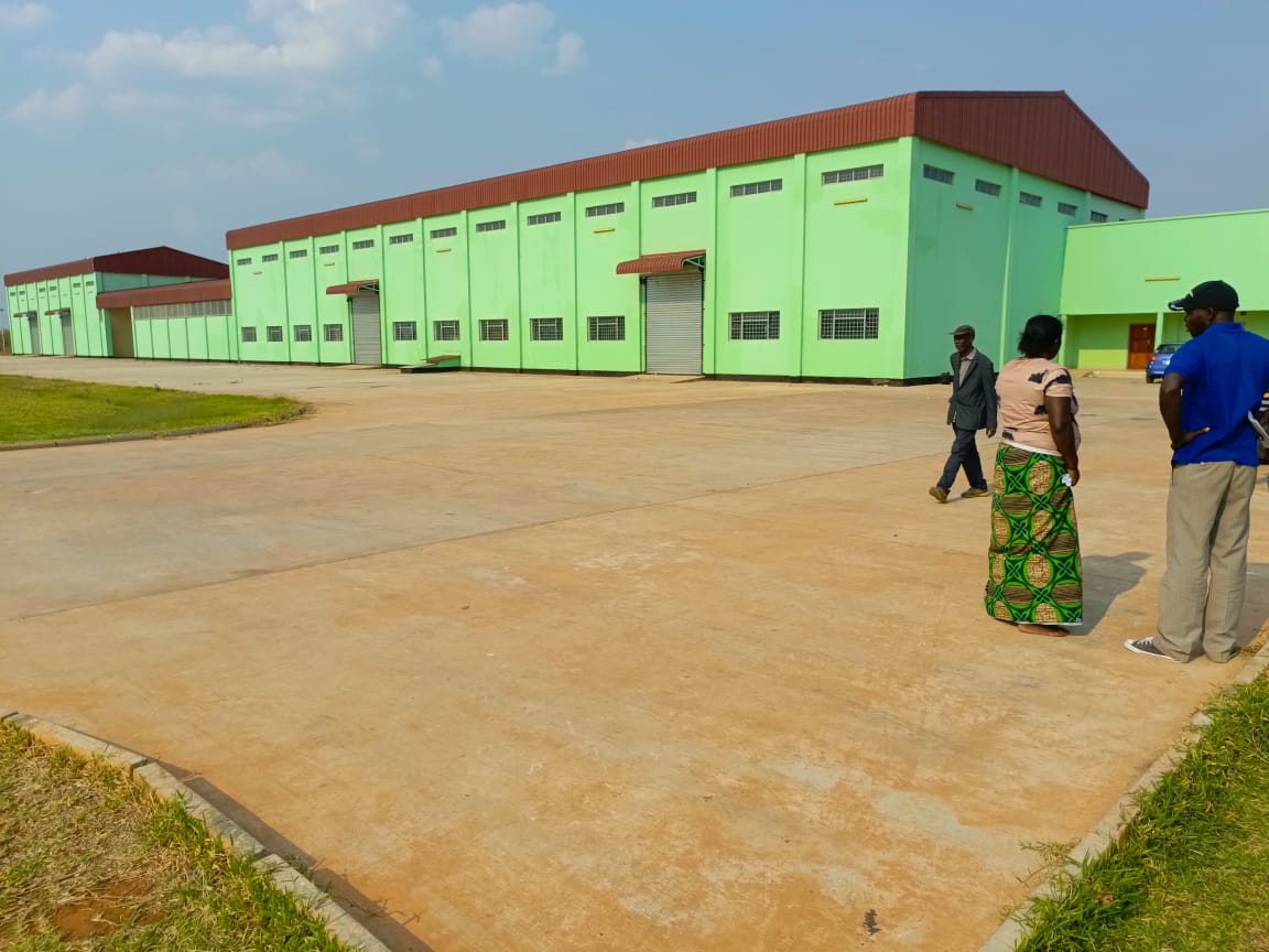 Concerns Grow as Delay in Opening Chitambo Cassava Milling Plant ...