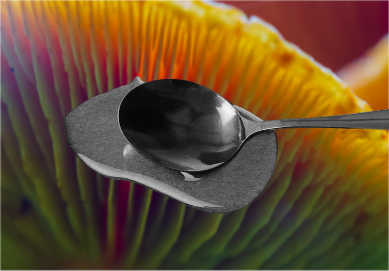 Microdosing Protocols: The Fadiman Protocol