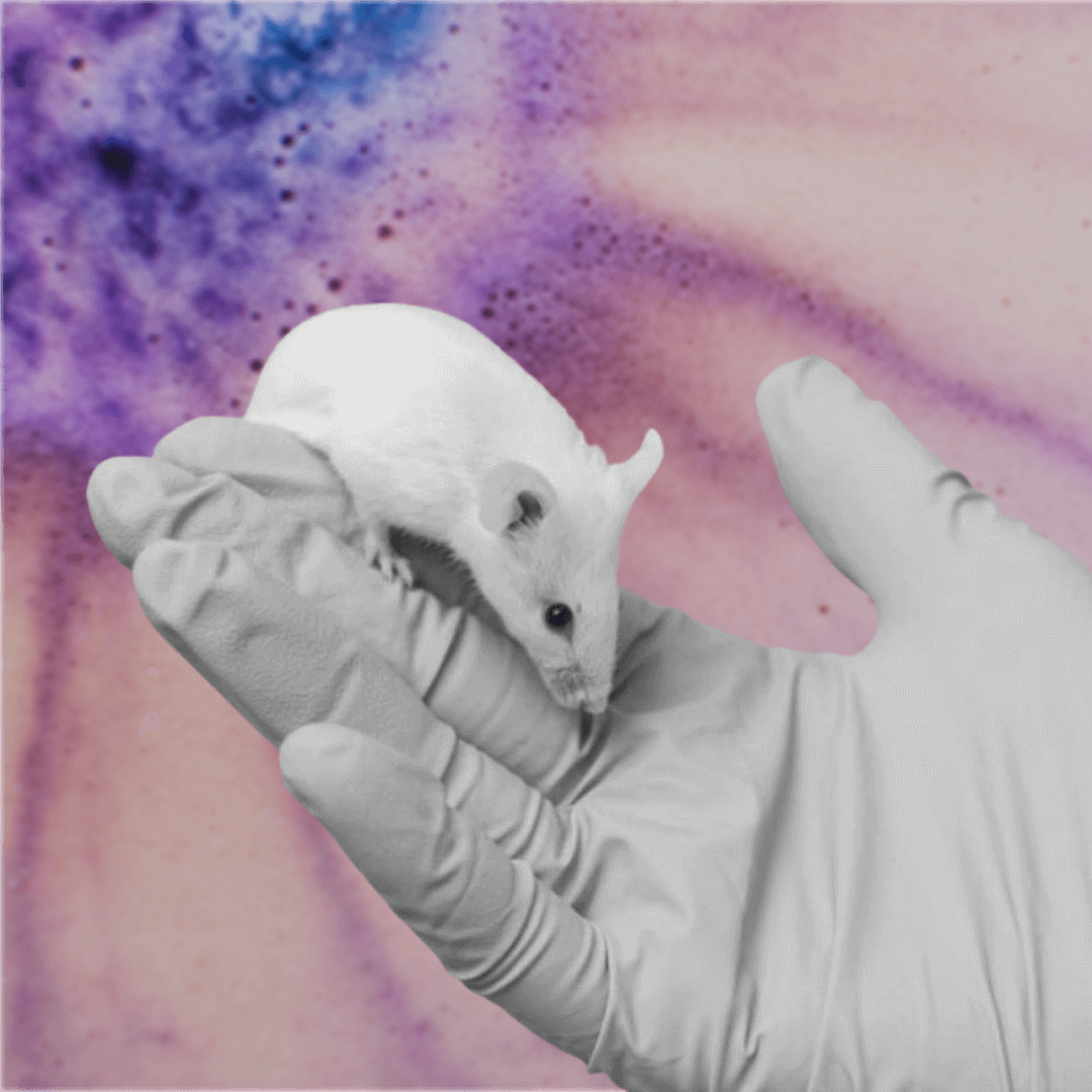 New Drugs Relieve Anxiety and Depression in Mice Without Psychedelic Trip