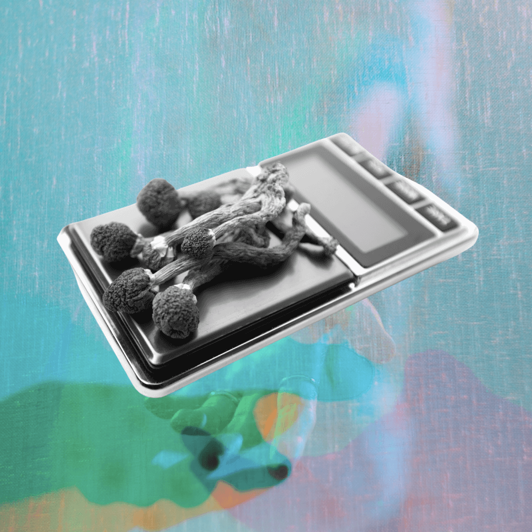 What’s the Difference between Legalization and Decriminalization?